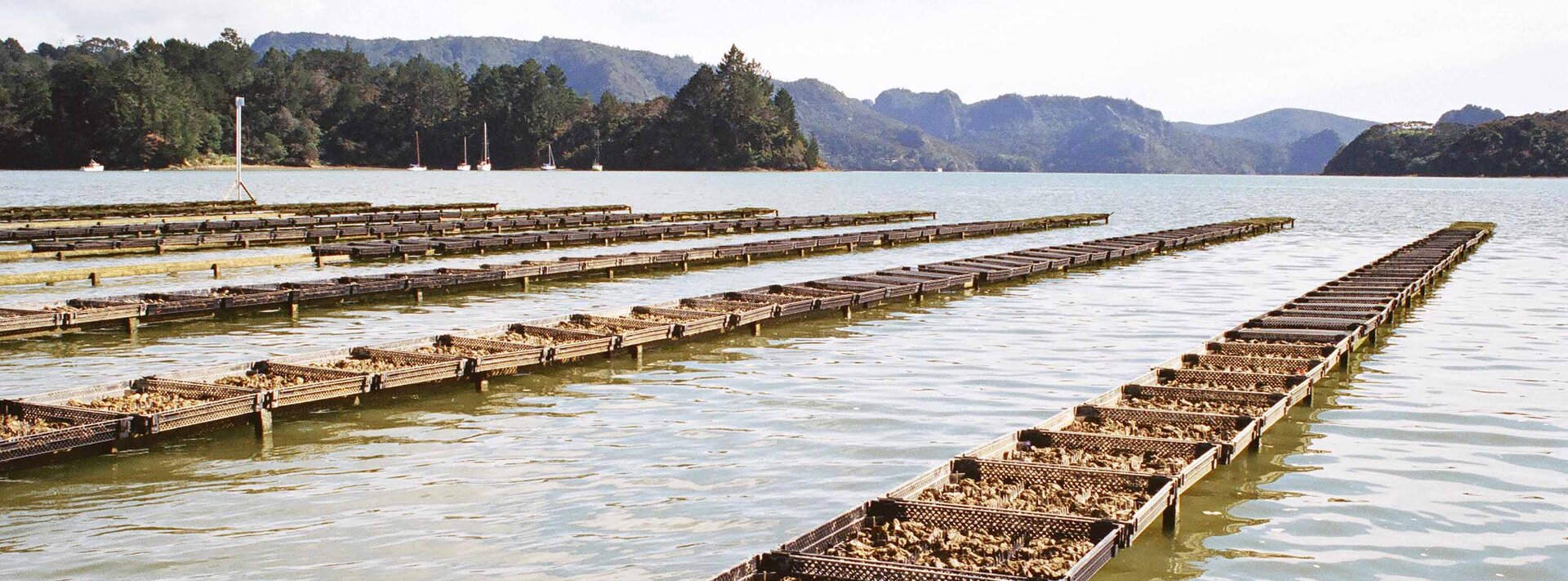 Plastic Injection Moulding Brisbane | Tooltech Plastics